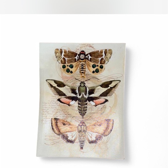 Wall Decor | Decorative Moth Print Portrait Art Hangable | Poshmark